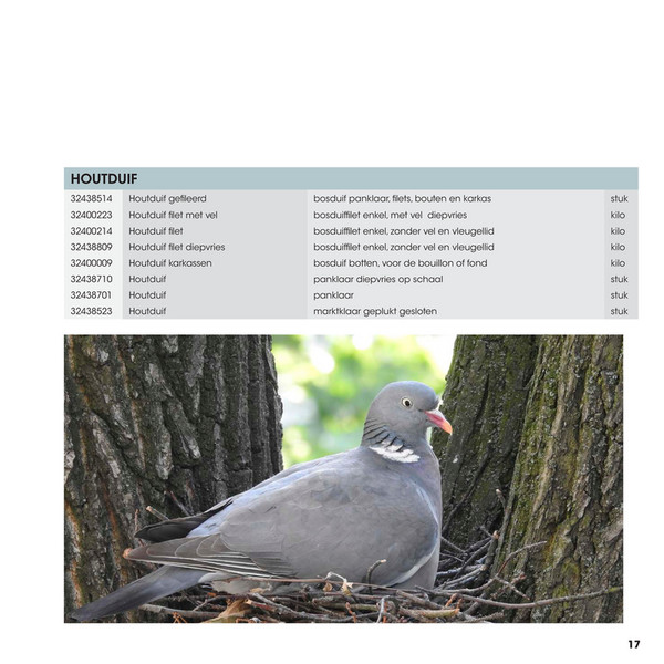 Wildbrochure 2025/2026 - Pagina 16-17